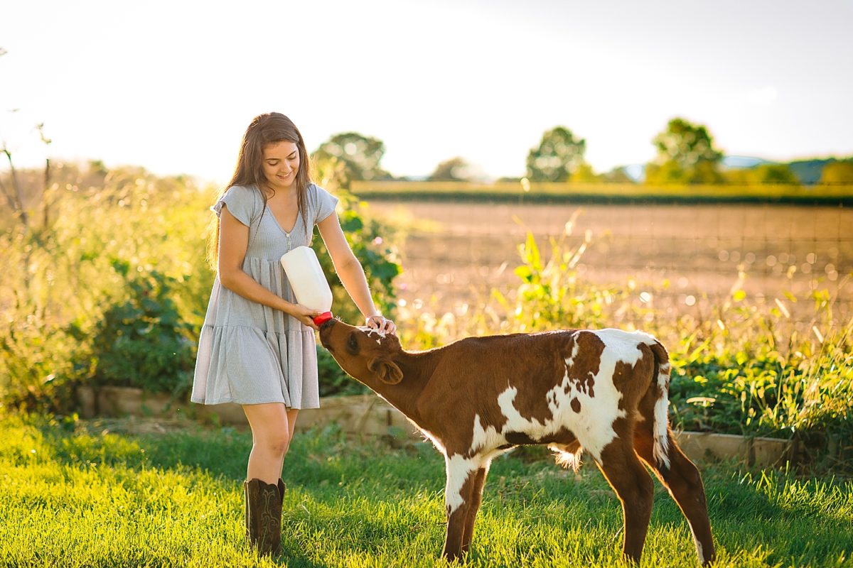 The Rockingham County Fair & Other Local Fairs